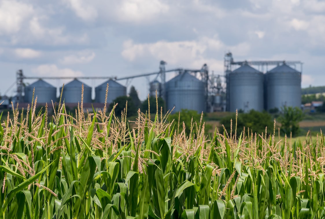 Co-Creation Solution Enables New Market Penetration for Corn Processor ...